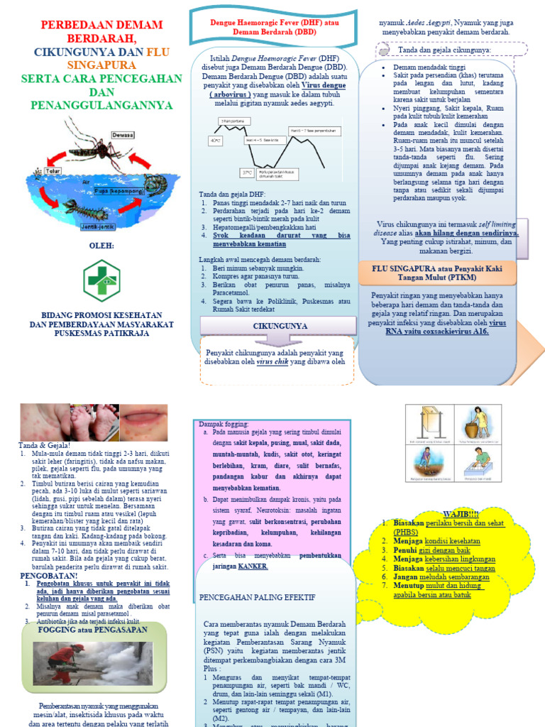 Leaflet DBD, Chikungunya Dan Flu Singapura | PDF