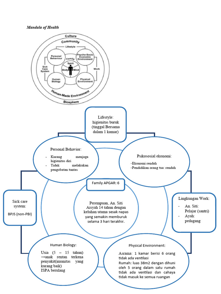 Mandala of Health & APGAR | PDF