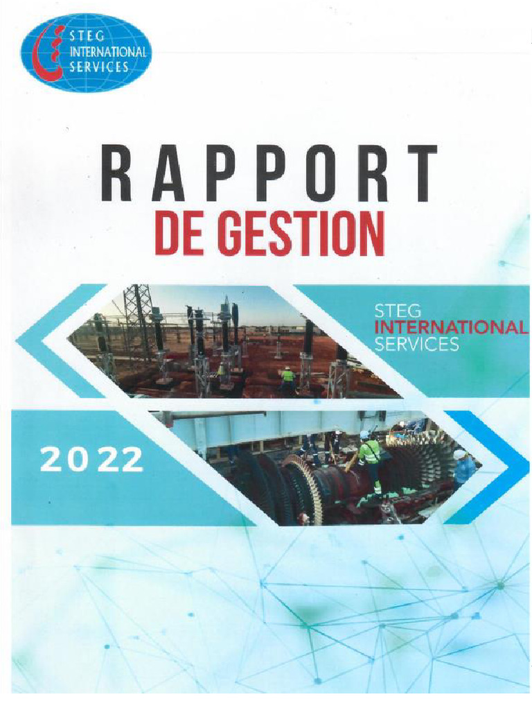 Rapport Steg Is 2022 | PDF