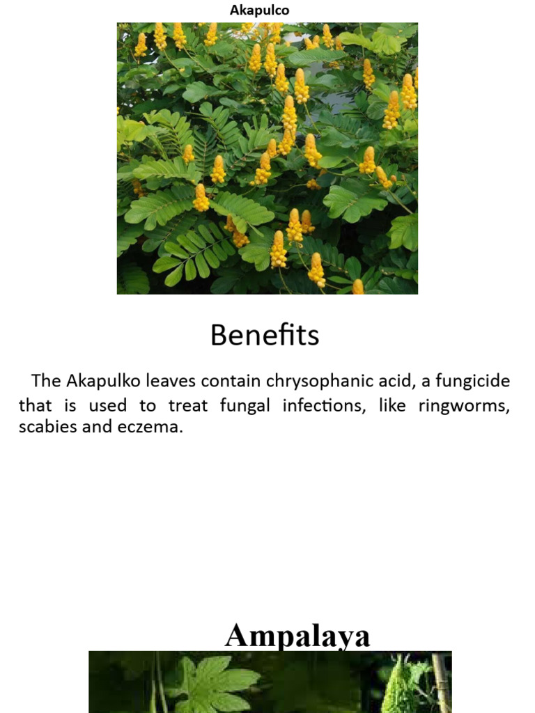 Benefits of Akapulco and Other Herbs | PDF | Lifestyle