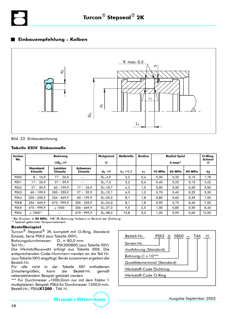 Turcon Stepseal 2K: Einbauempfehlung - Kolben | PDF