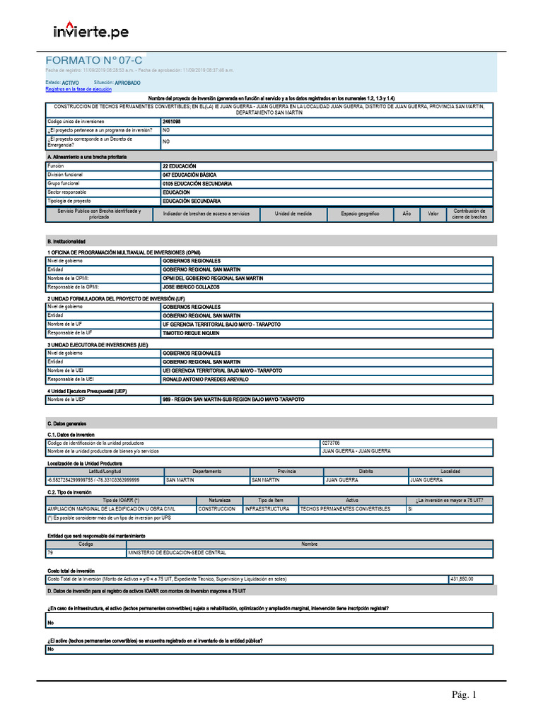 Formato N°07-C | PDF
