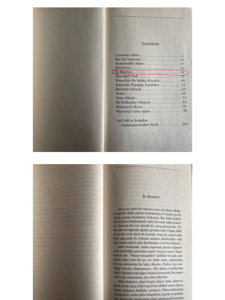 Sait Faik-İp Meselesi | PDF