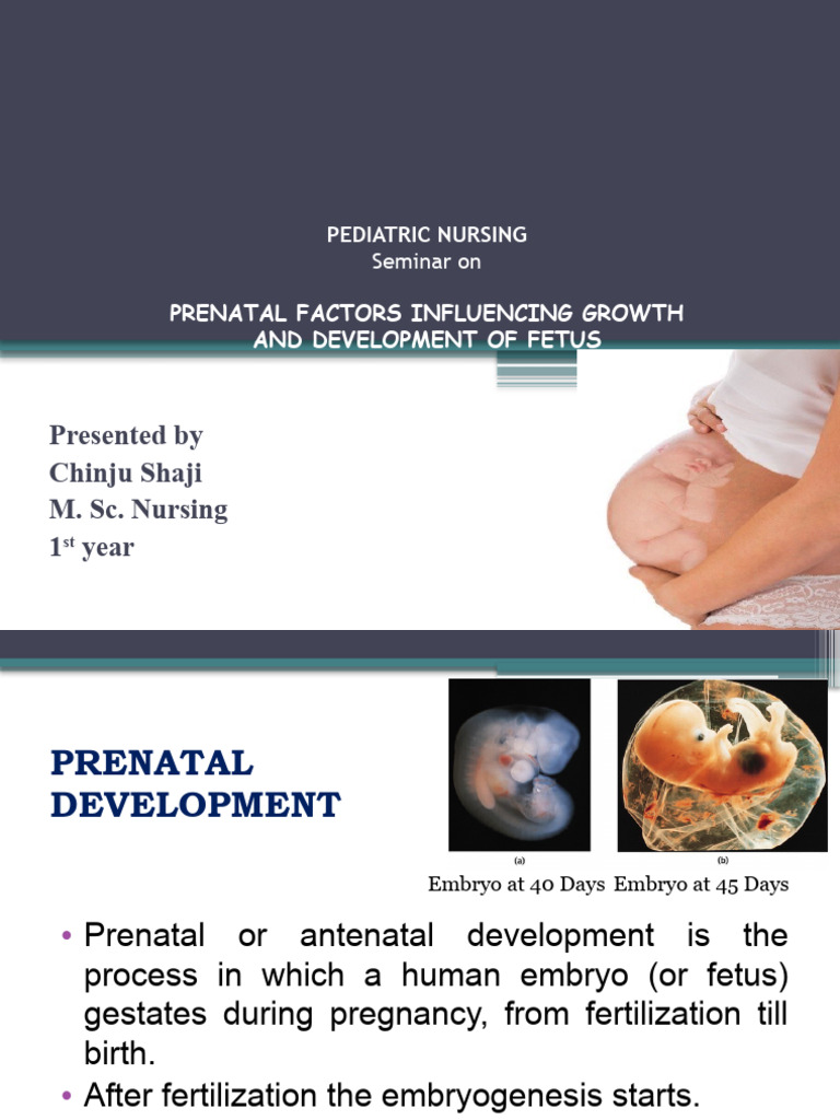 Prenatal Factors Ppt's | PDF
