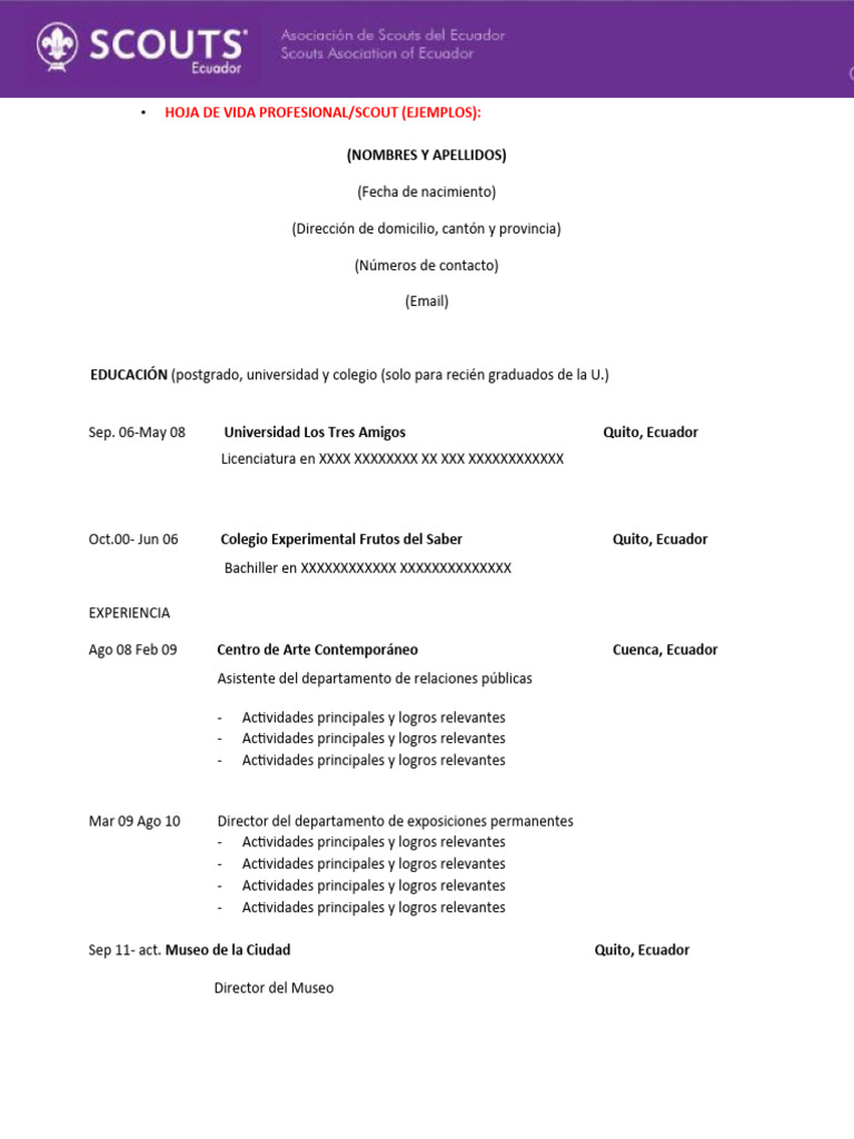 #8 - Modelo Hoja de Vida Profesional y Scout | PDF