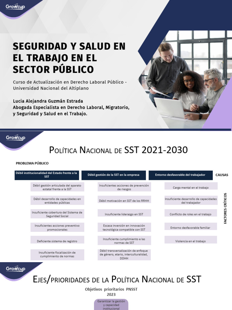 SST Sector Público | PDF
