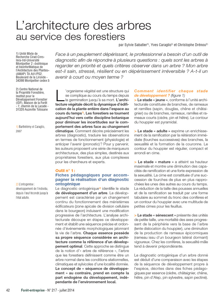2014 Sabatier Architecture Des Arbres Au Service Forestiers | PDF