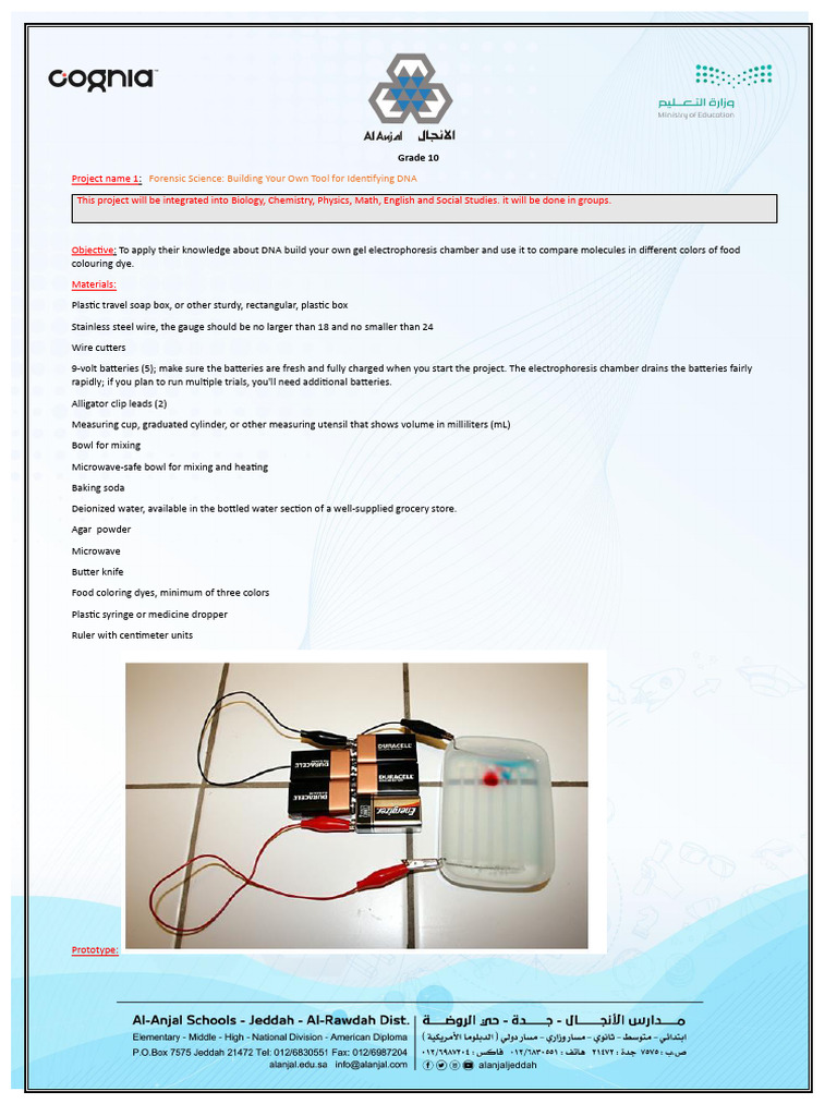 GR 10 Project (Gel Elctrophorisis) (Bio, Chemistry, Physics, Math ...