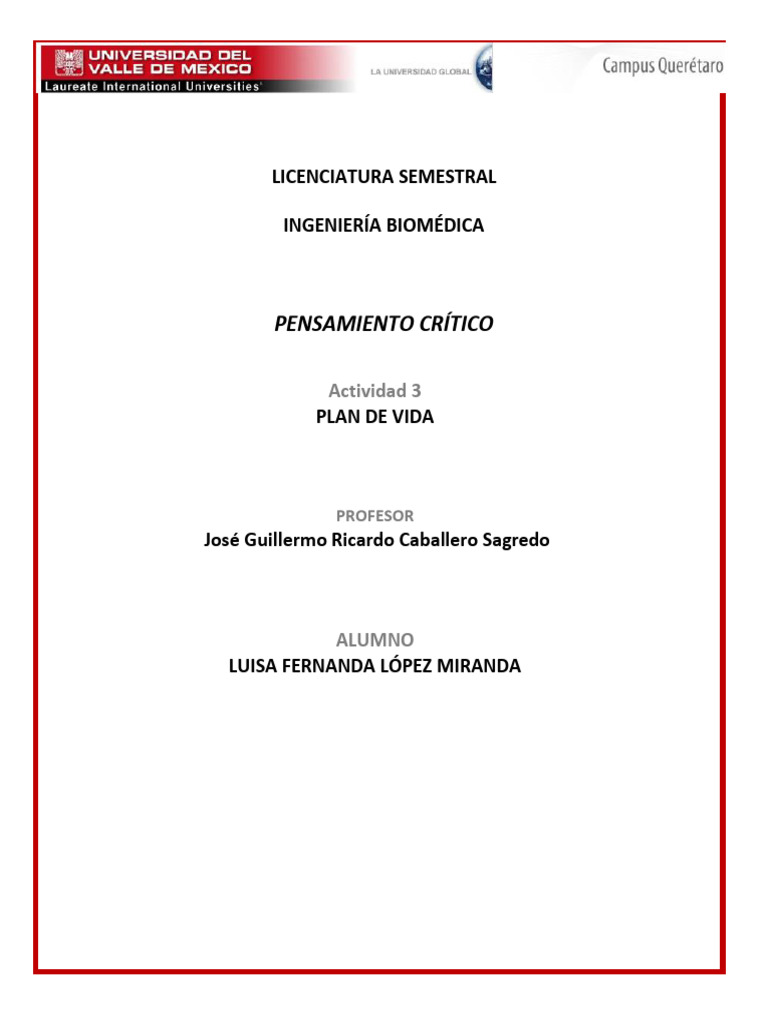 A3 LFLM | PDF