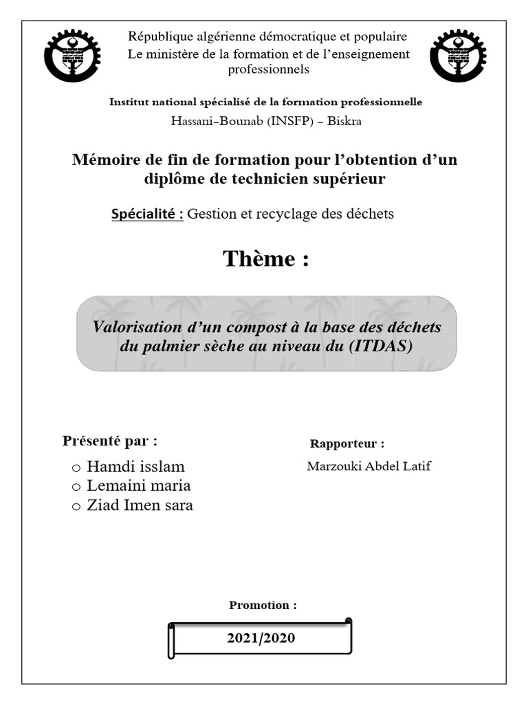 Memoire | PDF