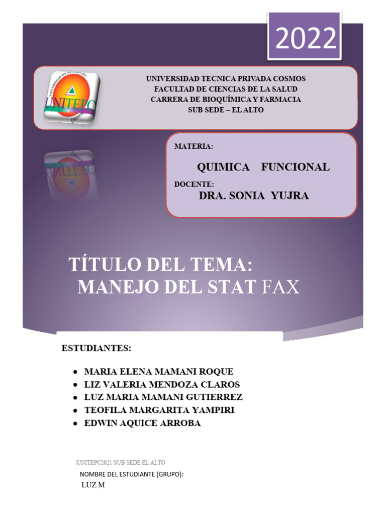 Informe Stat Fax 1ra Revision | PDF