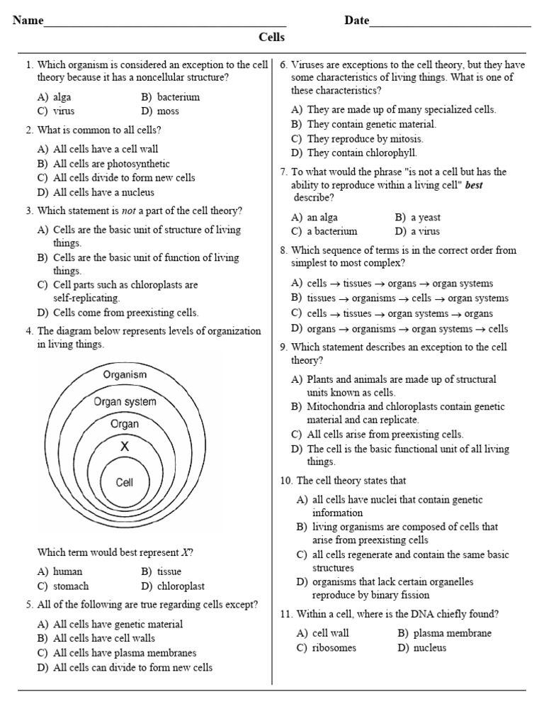 Cells Regents Review | PDF | Wellness | Young Adult