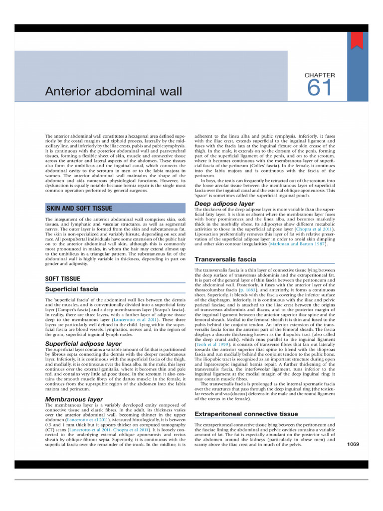 Anterior Ab Wall | PDF