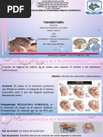 Colectomia y Reseccion Intestinal | PDF