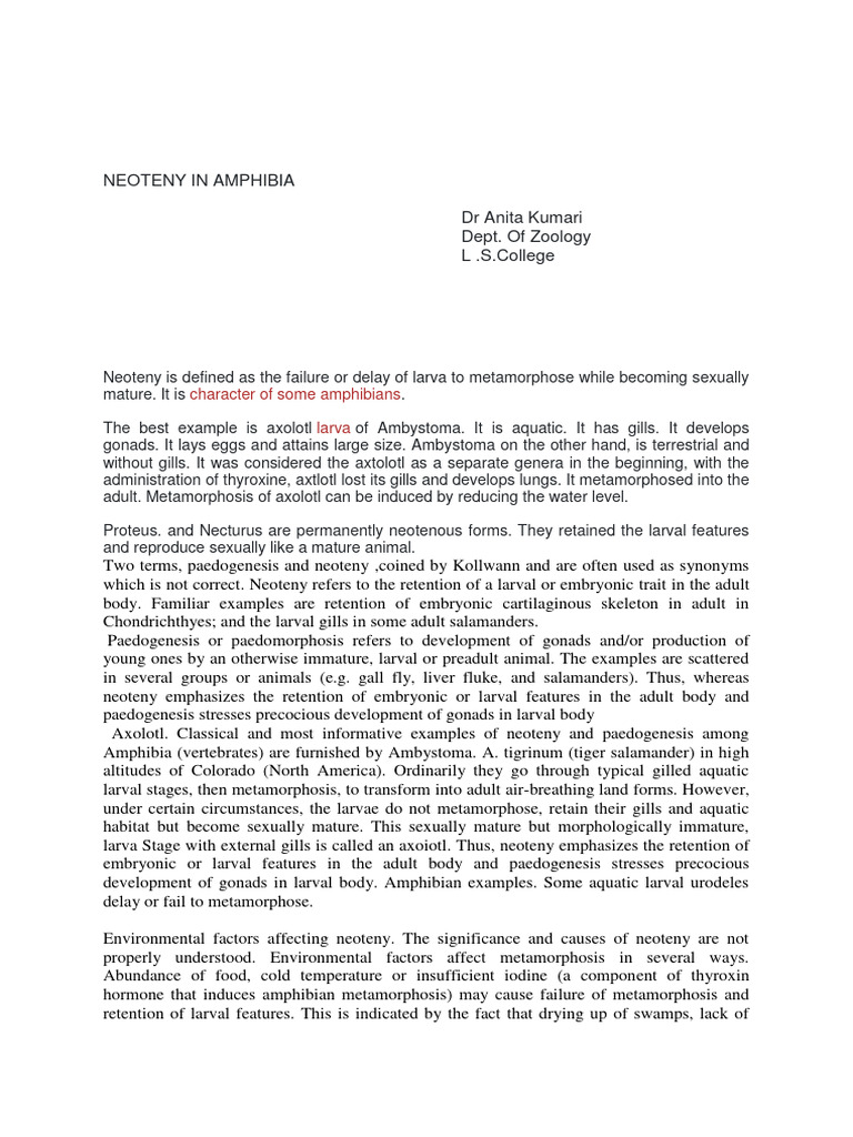 Neoteny in Amphibia 1 - 0 | PDF | Amphibian | Zoology