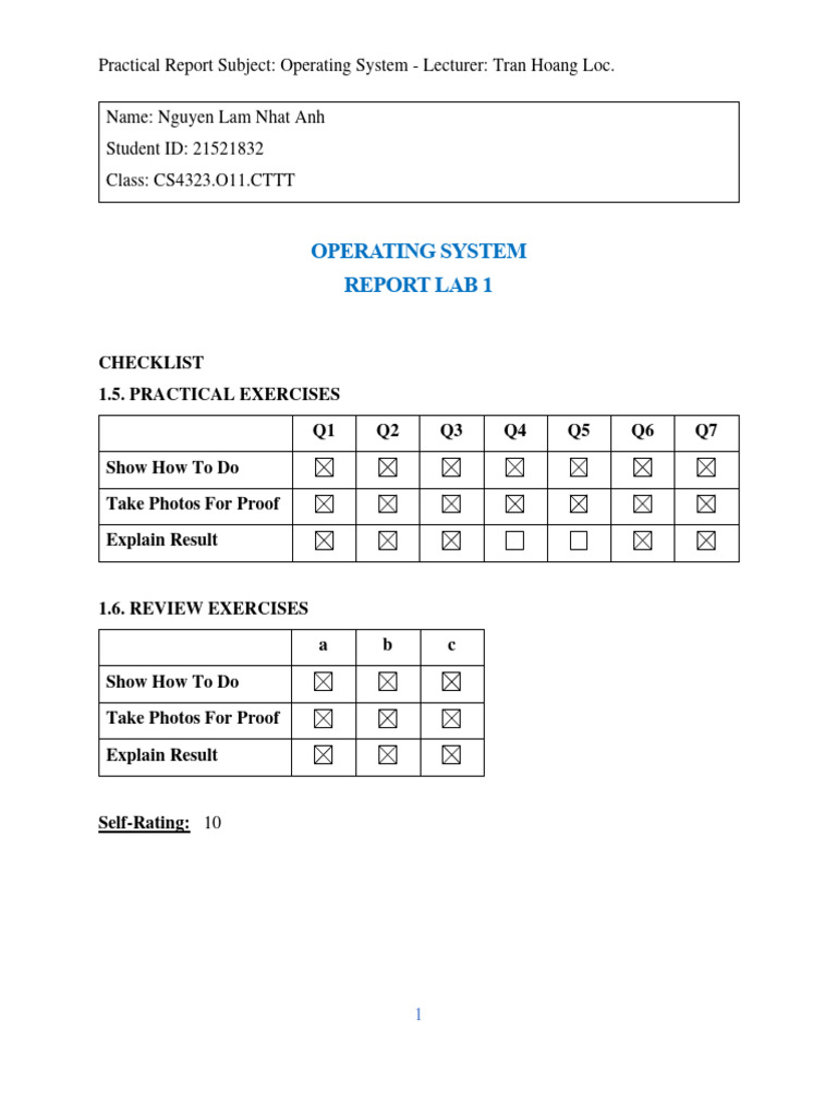 Operating System Practical Lab Report | PDF