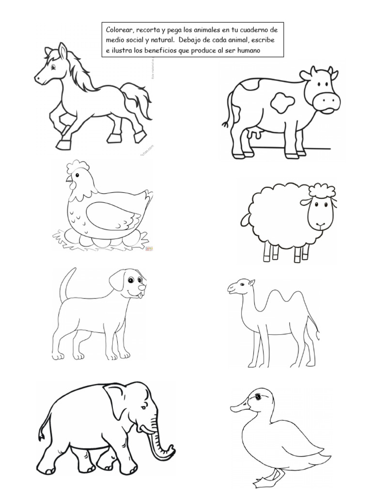 Animales Utiles Al Ser Humano | PDF