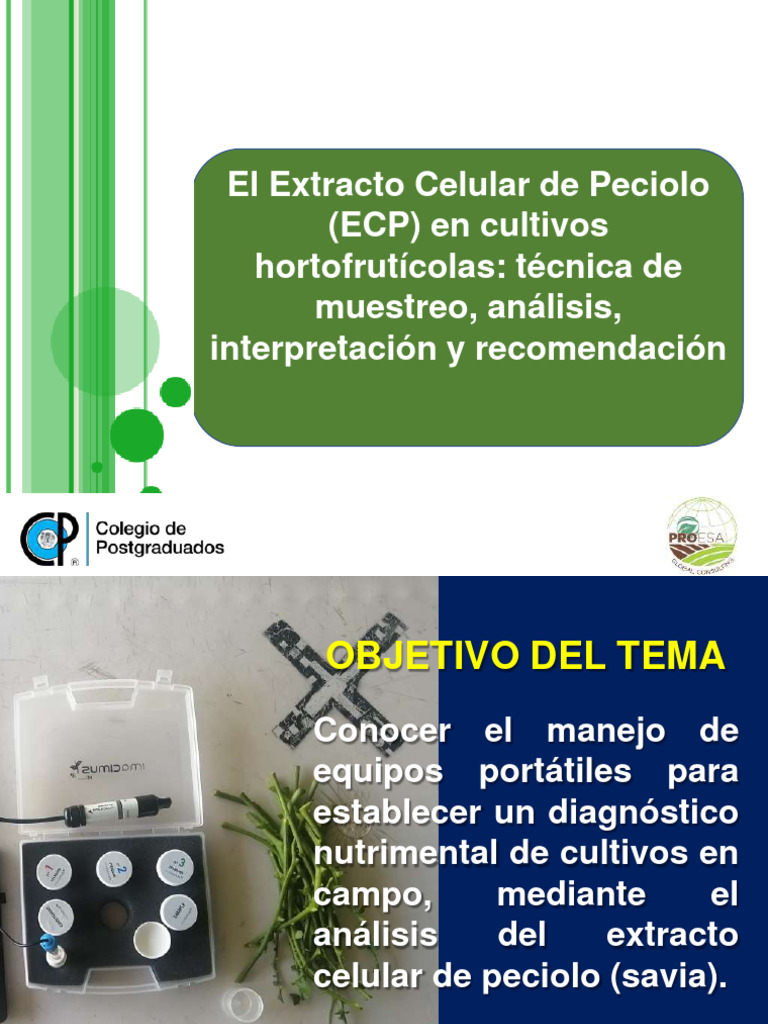 TEMA 7. EL EXTRACTO CELULAR DE PECIOLO | PDF