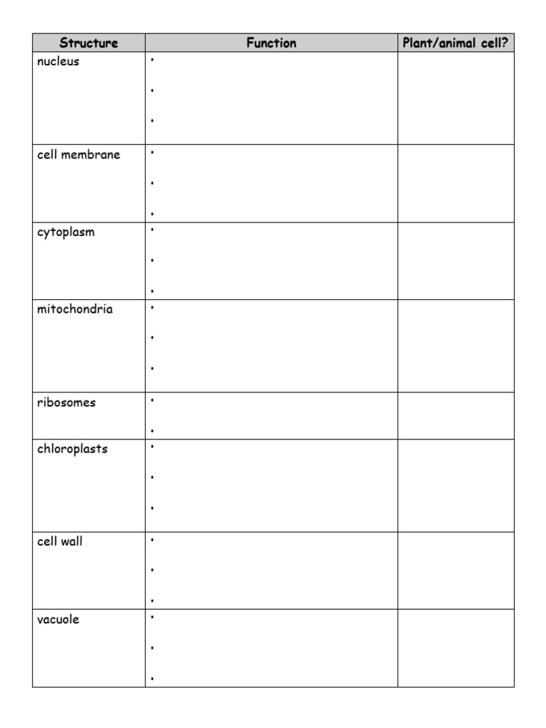 GR 9 10 Functions of Cells Matching | PDF