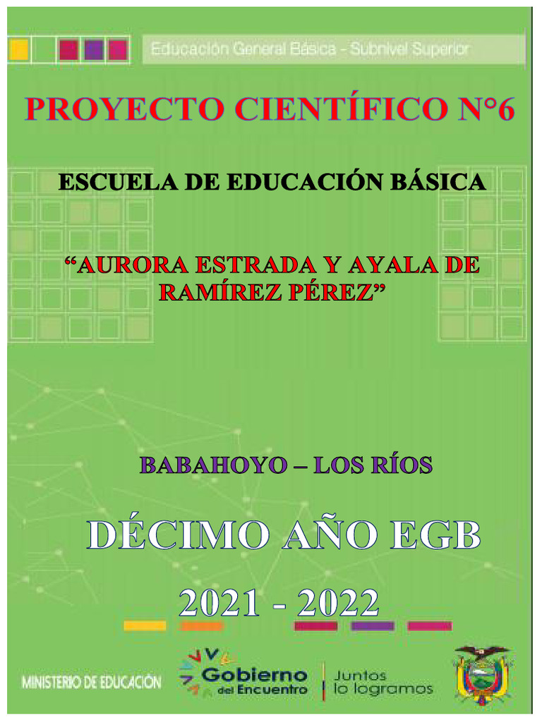 Proyecto Científico 6 Decimo PDF | PDF