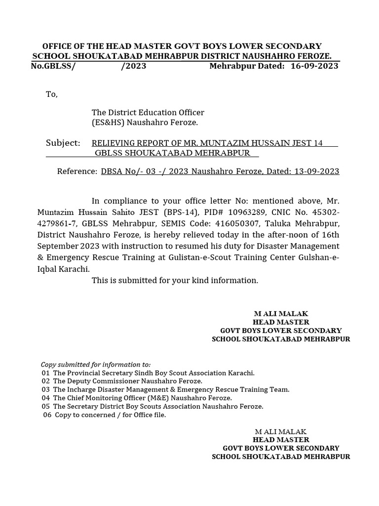 Reliving ShOaib Scout | PDF