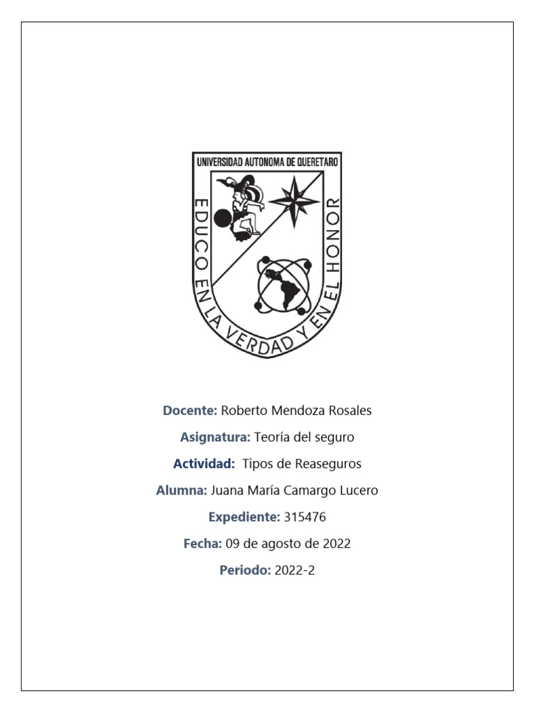 Tipos de Reaseguros en Seguros | PDF