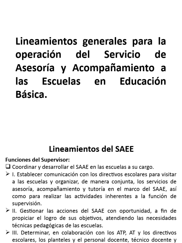 Integrantes Del Saee Funciones y Responsabilidades | PDF | Maestros ...