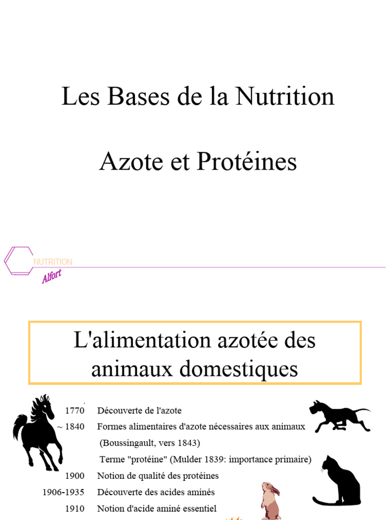 05 Alim Azote | PDF | Acide aminé | Protéines