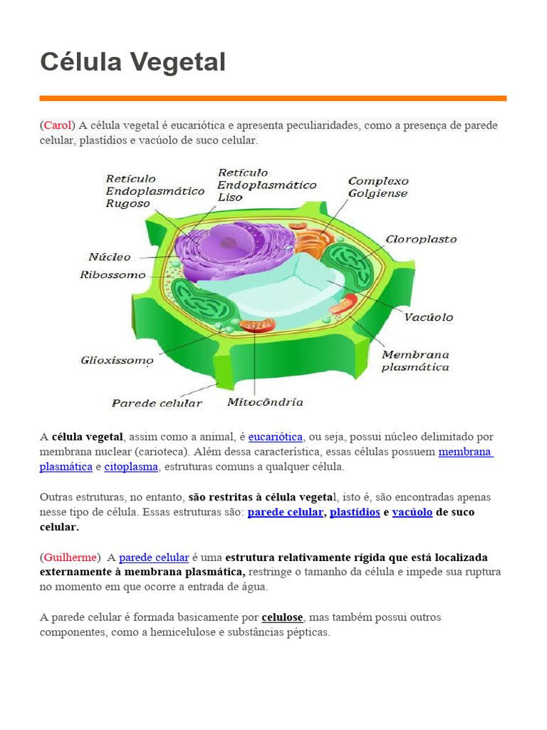 Célula Vegetal Celula Vegetal