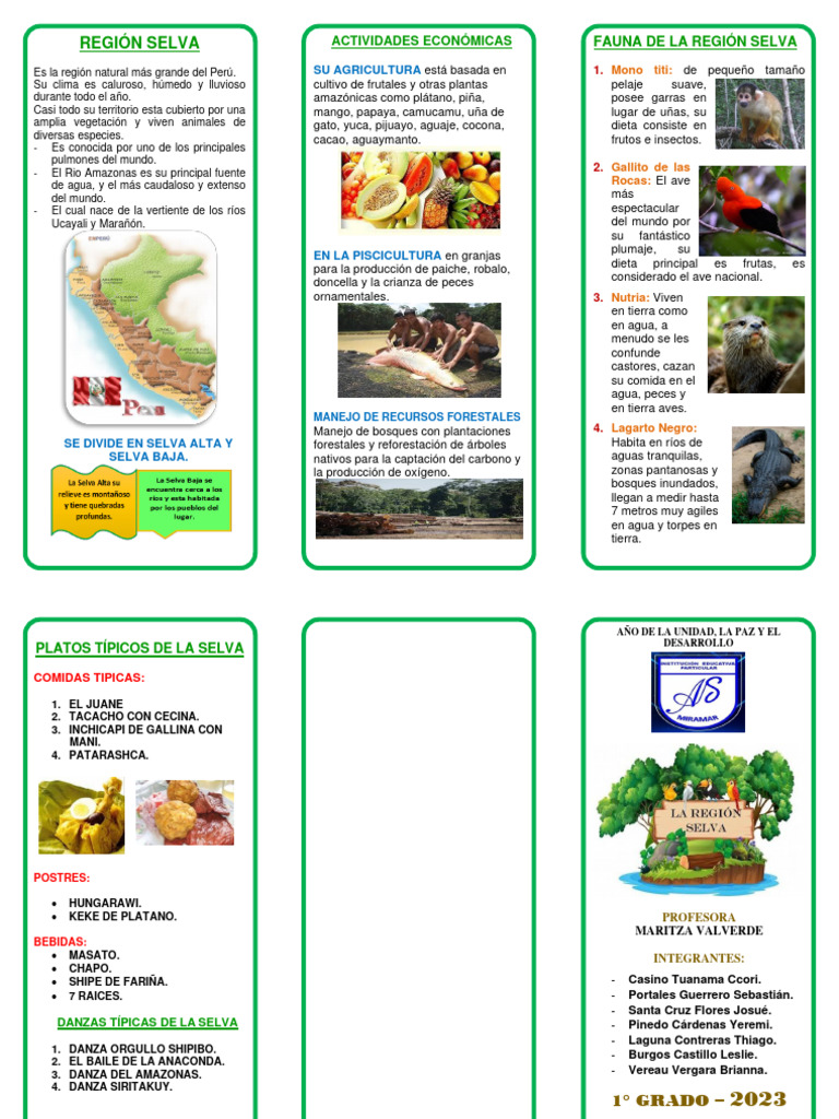 Triptico Selva. | PDF | Selva | río Amazonas