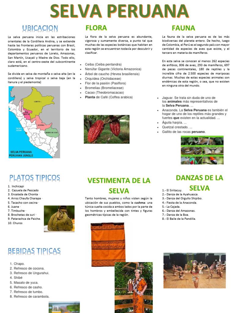 La Selva Peruana | PDF