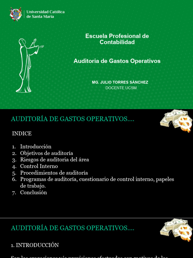 Programa Gastos Operativos | PDF | Auditoría | Contabilidad
