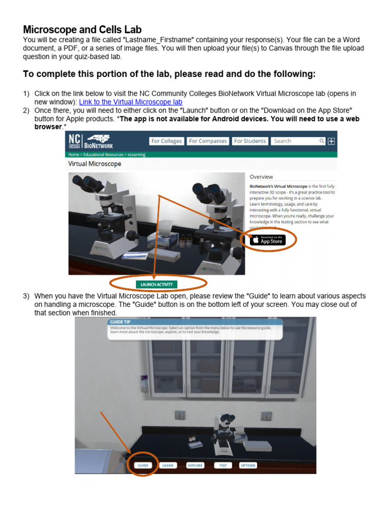 Microscope and Cells Lab Part 1 Directions | PDF | Screenshot | Computing