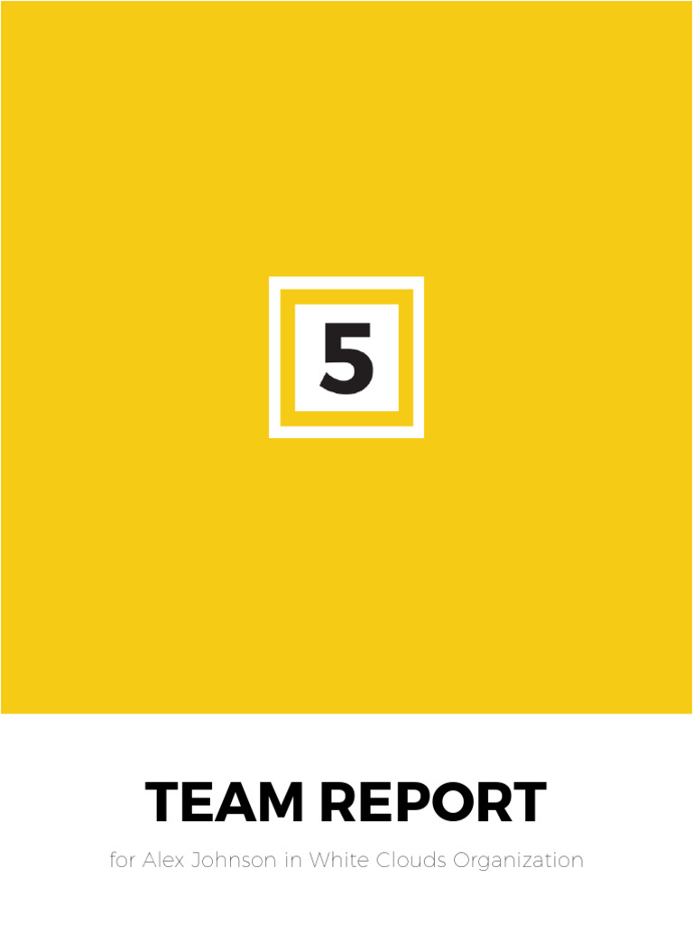HIGH5 Team Strengths Report Sample | PDF