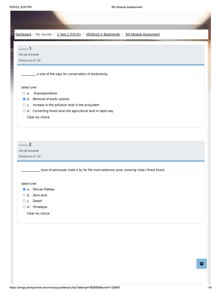 5th Module Assessment-1 | PDF