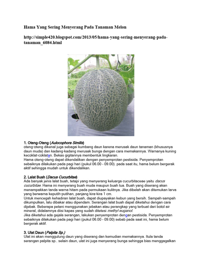 Hama Yang Sering Menyerang Pada Tanaman Melon | PDF