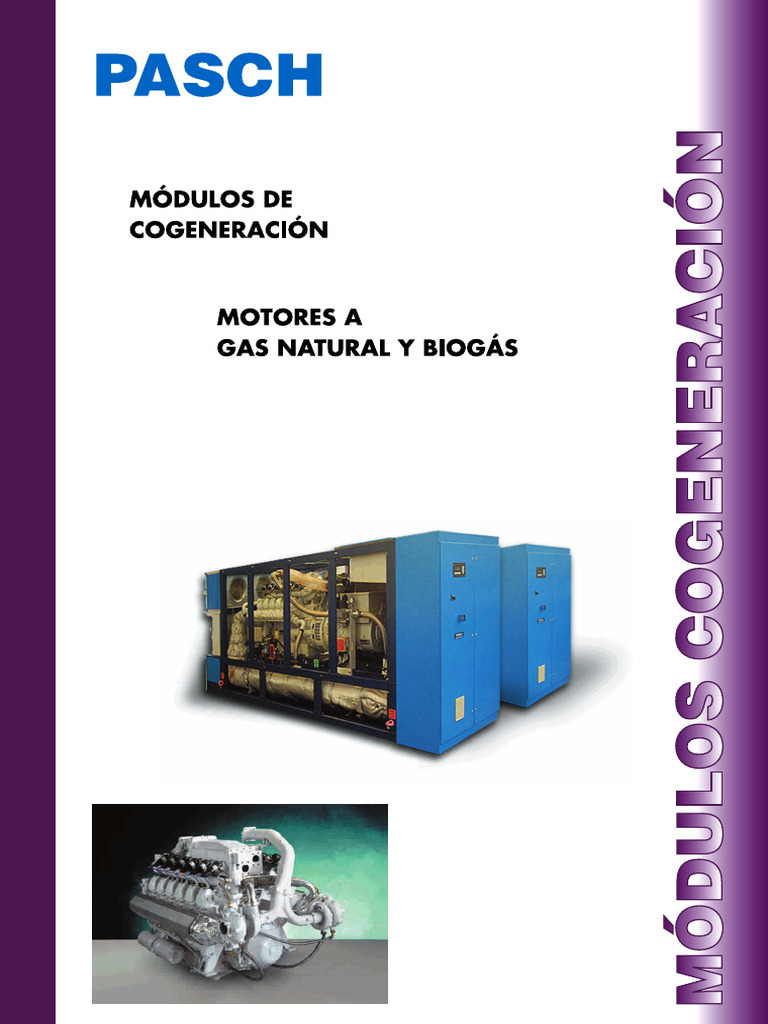 Catalogo Motores A Gas Biogas | PDF