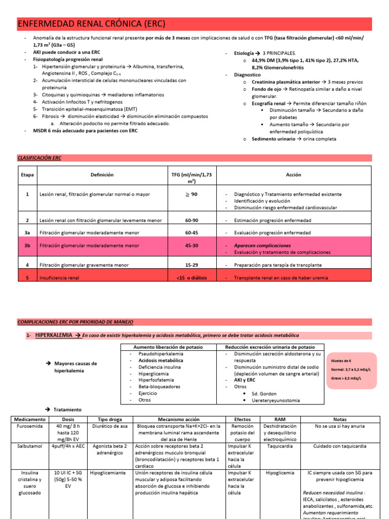 Enfermedad Renal Crónica | PDF
