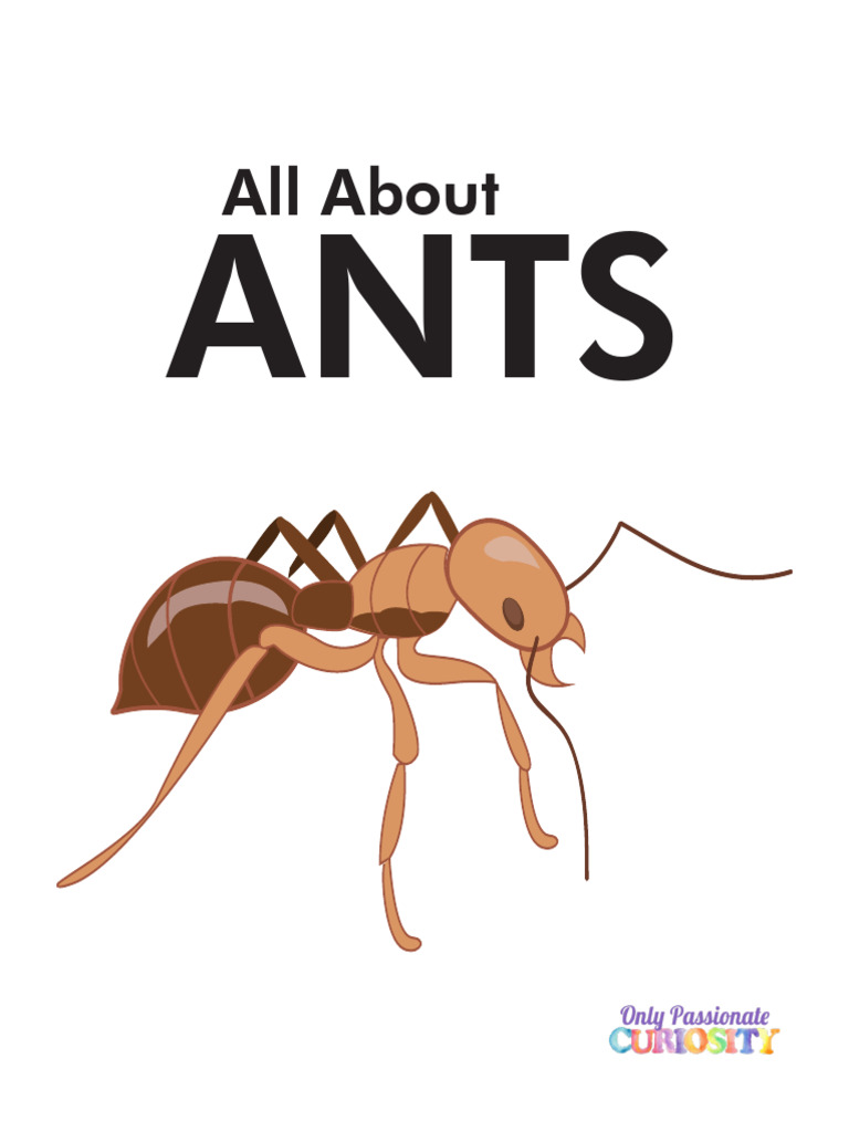 Ants | PDF | Ant | All Rights Reserved