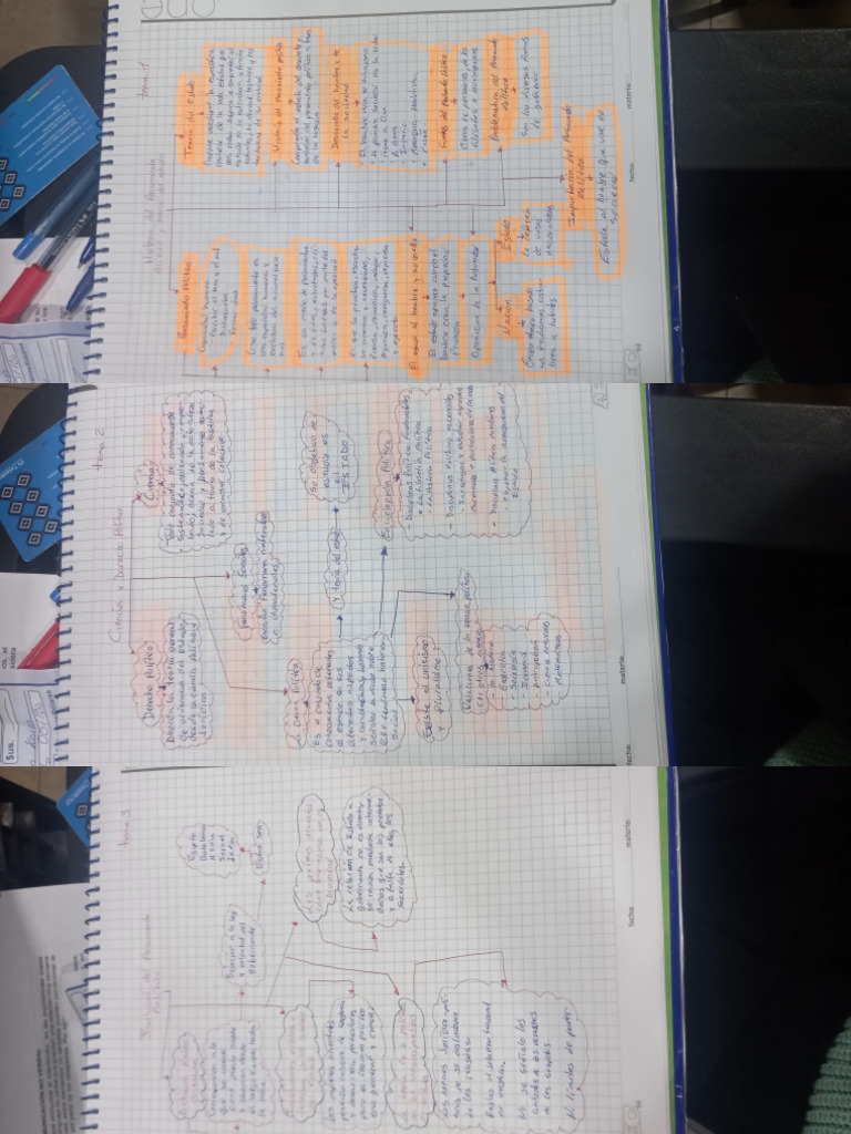 Mapas Conceptuales | PDF