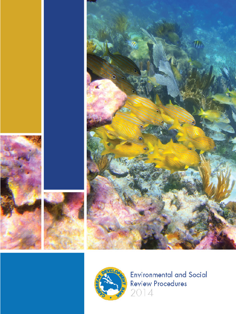 CDB Environmental and Social Review Guide | PDF