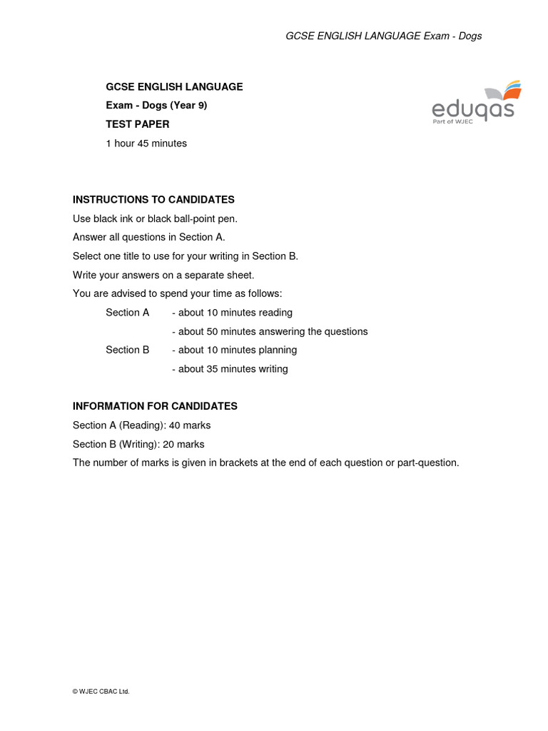Year 9 English Pdf