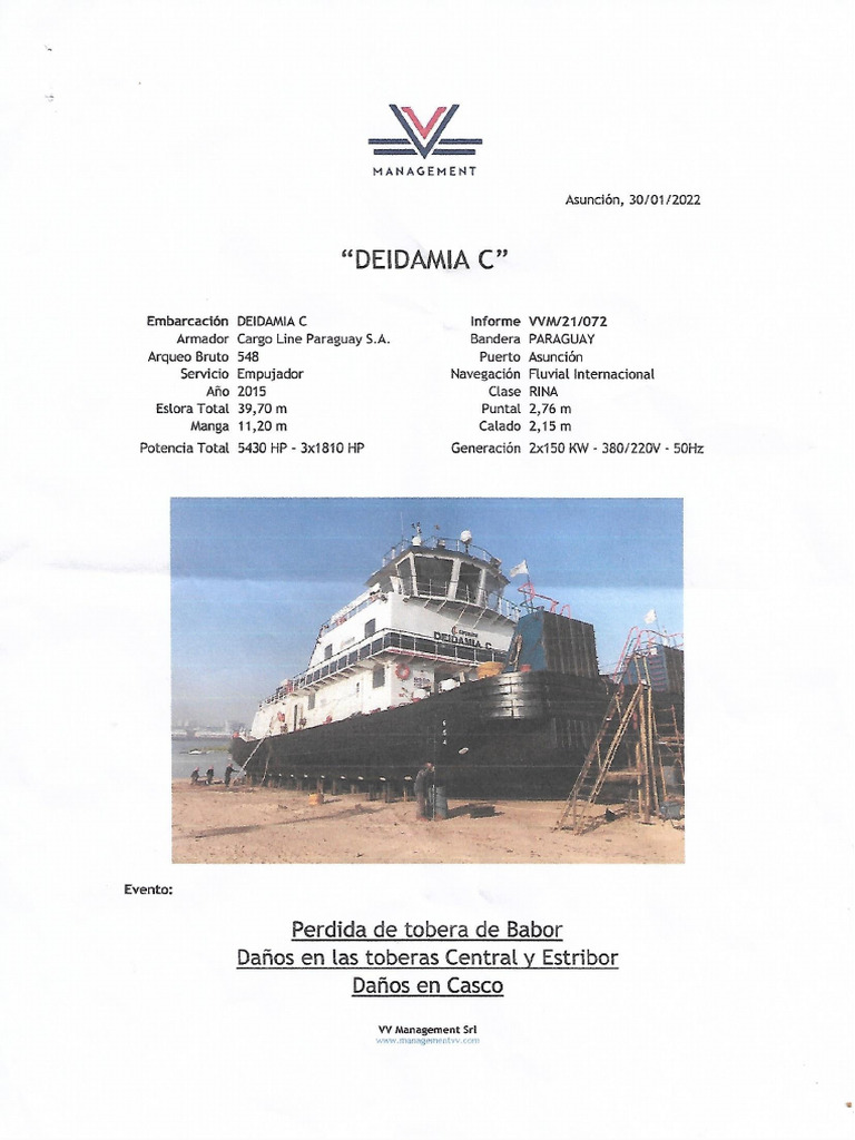 Informe Técnico Deidamia C | PDF