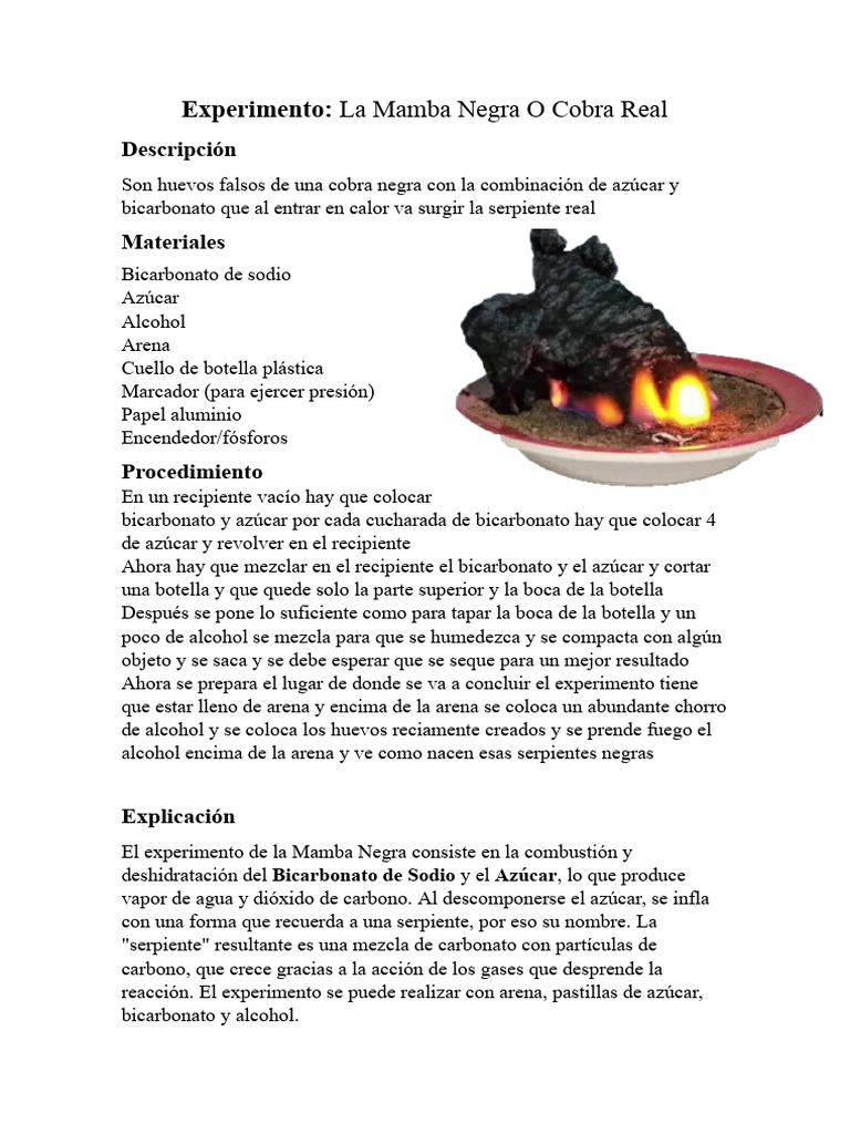 Experimento La Mamba Negra | PDF