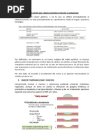 Clasificación Borrmann Cáncer Gástrico | PDF