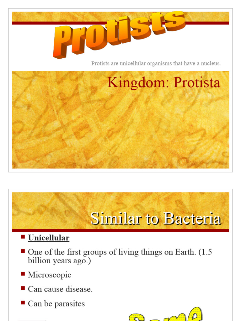 Protist | PDF