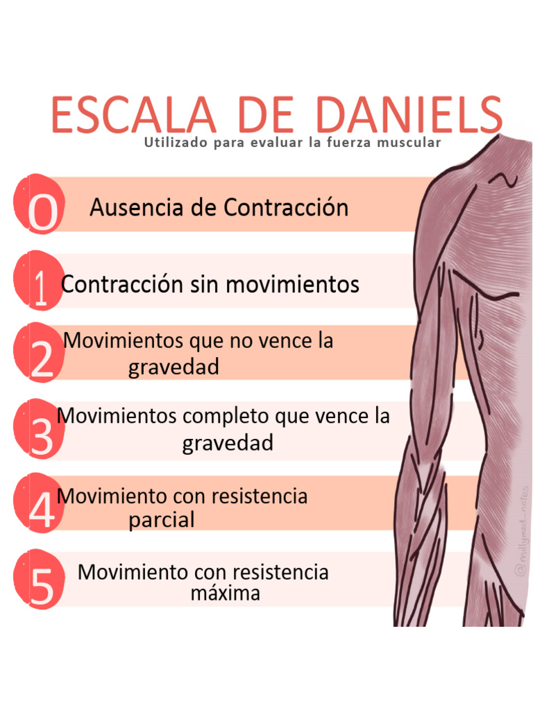 Documento (2) | PDF