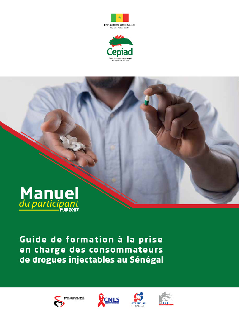 GUIDE DE FORMATION A LA PEC DES CDI. Manuel Du Participant 1 | PDF