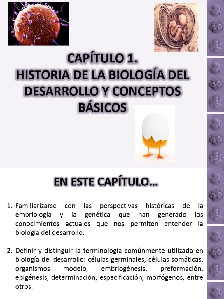 Introduccion A La Biologia Del Desarrollo | PDF | Biología del ...