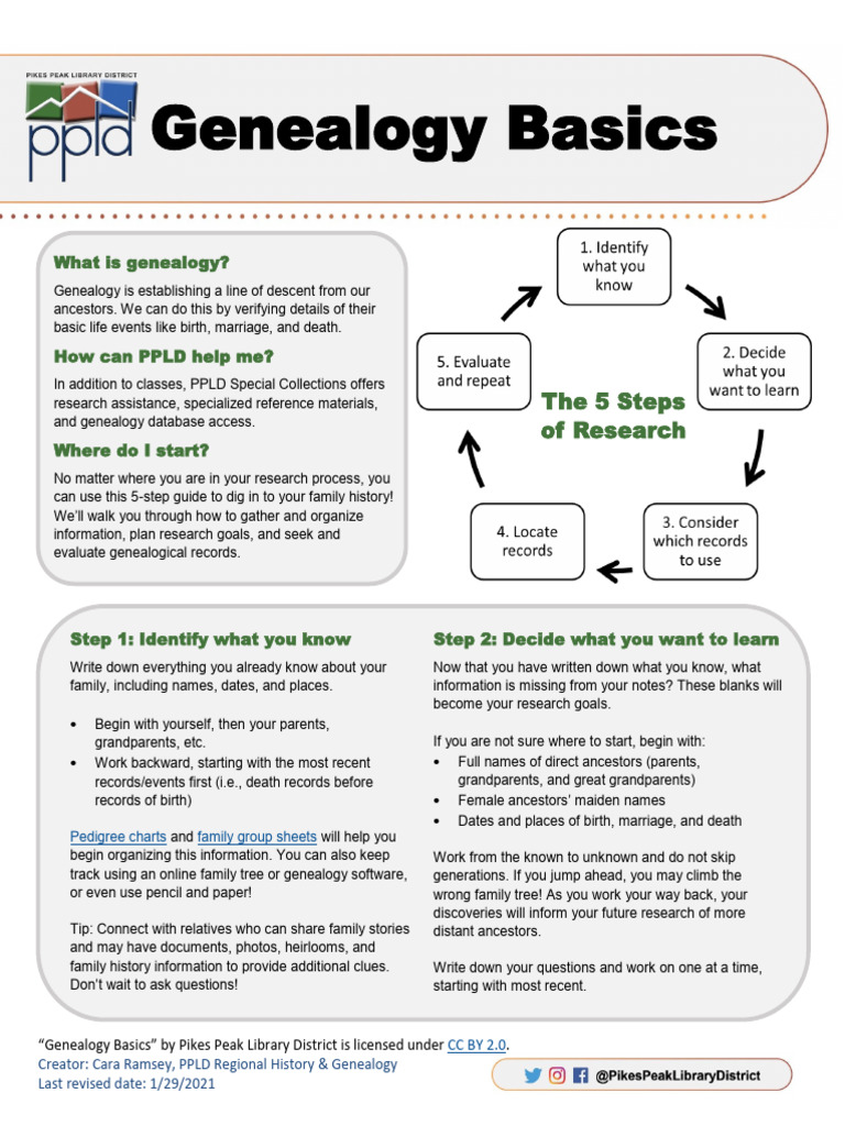 Genealogy Basics | PDF | Genealogy | Information Science